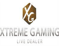 XG真人视讯游戏API接口 - YG API